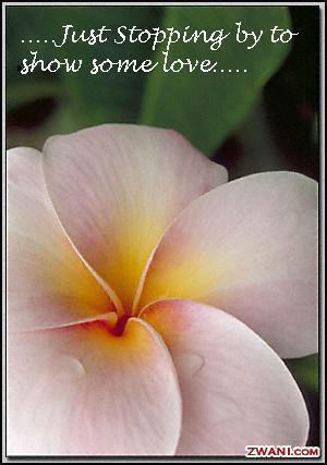 Showin Love Comments and Graphics Codes for Myspace, Friendster, Hi5