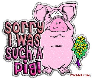 Sorry Comments and Graphics Codes for Myspace, Friendster, Hi5